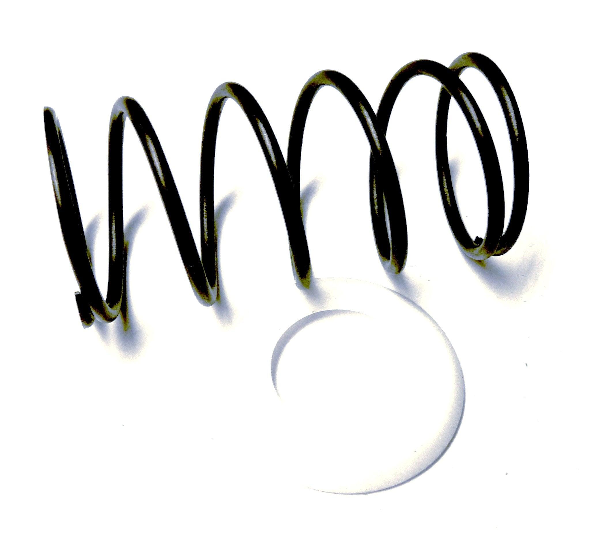 Genuine Fiat Cam Variator Spring Kit | 71715450 – Stoneacre Direct